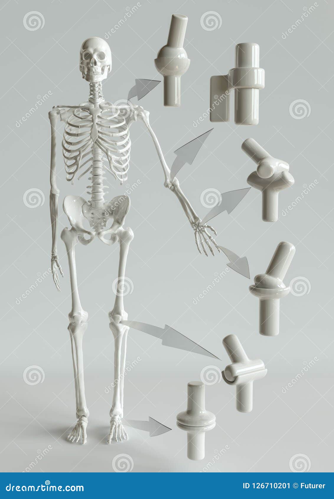 Joint Types With Fixed, Hinge Or Ball And Socket Connections Outline ...