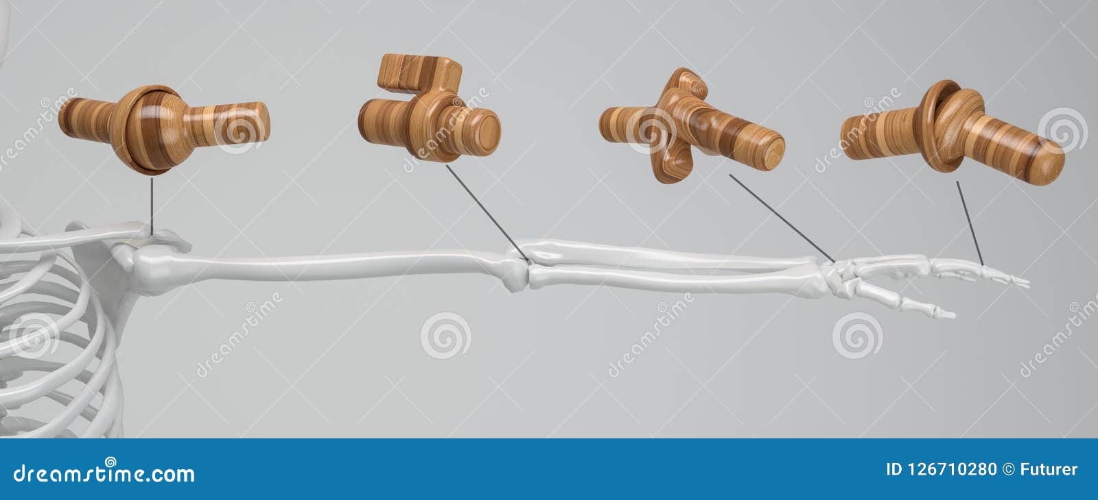 Joint Types With Fixed, Hinge Or Ball And Socket Connections Outline ...