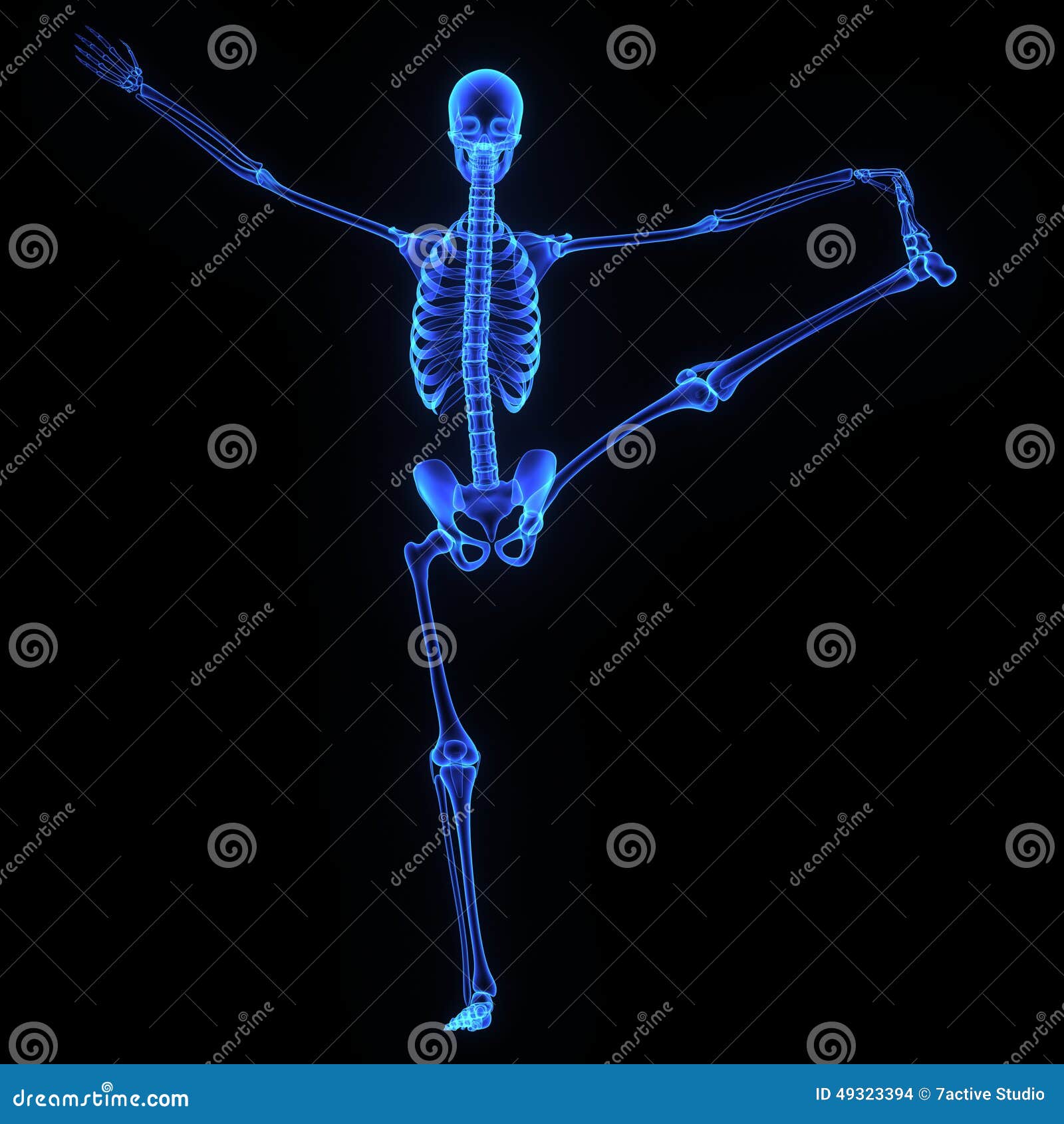 Bones Connect Stock Illustrations – 174 Bones Connect Stock ...