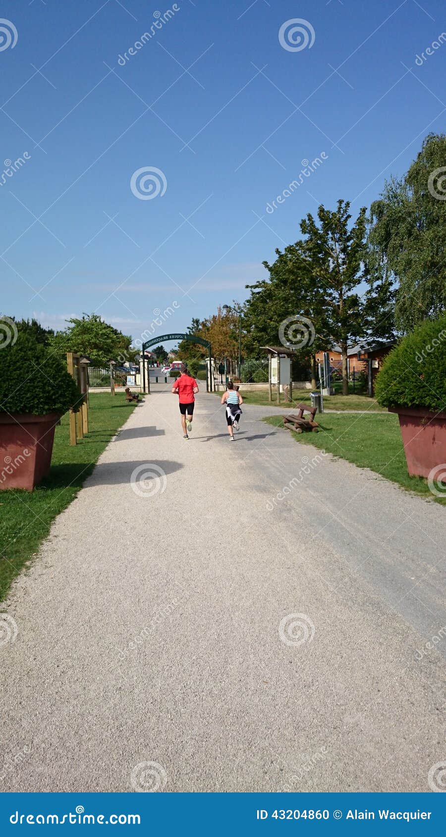 Jogging stock photo. Image of park, vitality, race, sport - 43204860