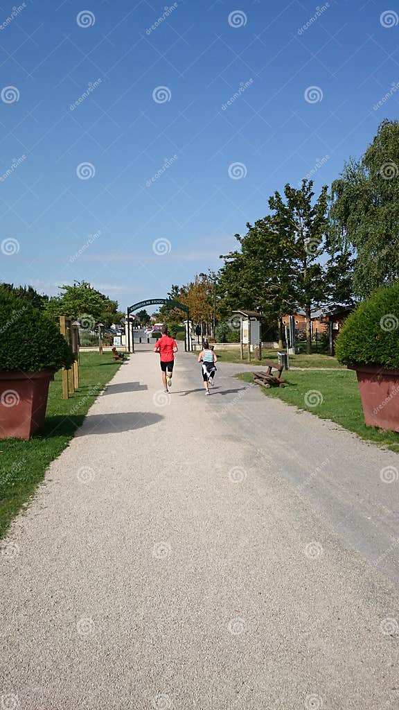 Jogging stock photo. Image of park, vitality, race, sport - 43204860