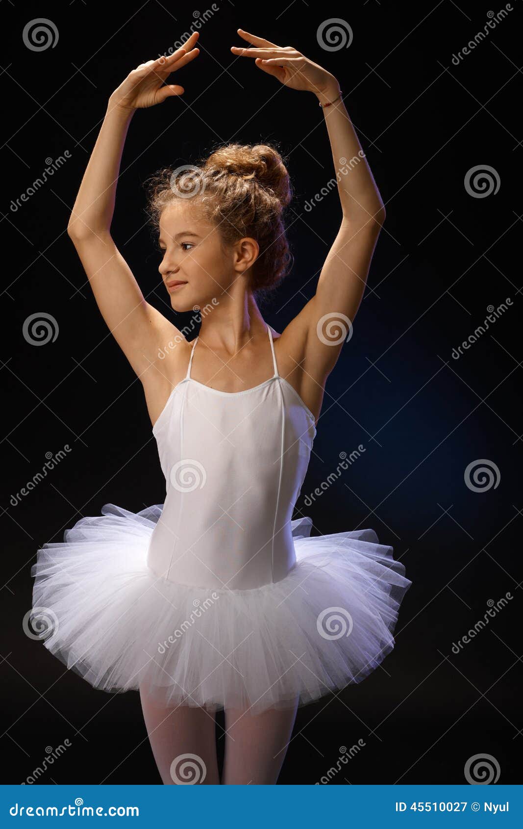 Jolie Pose De Danseur Classique Image stock - Image du loin, gens: 45510027