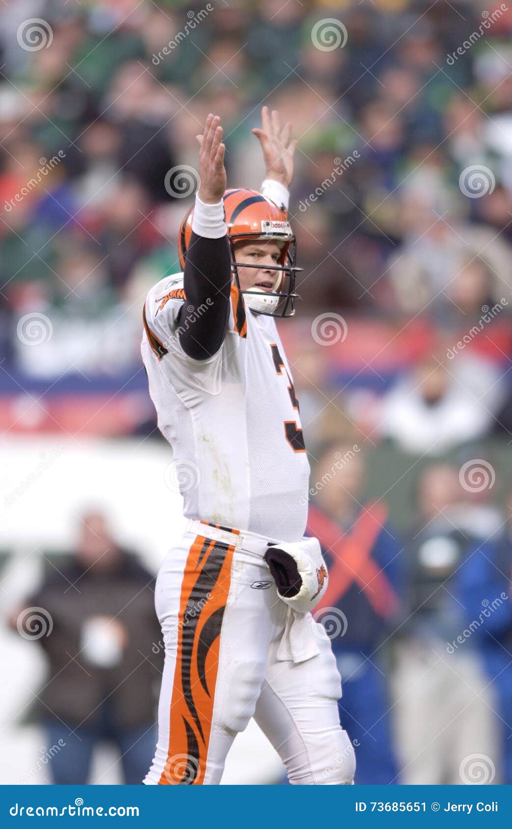 Jon Kitna editorial photo. Image of league, taking, slide - 73685651