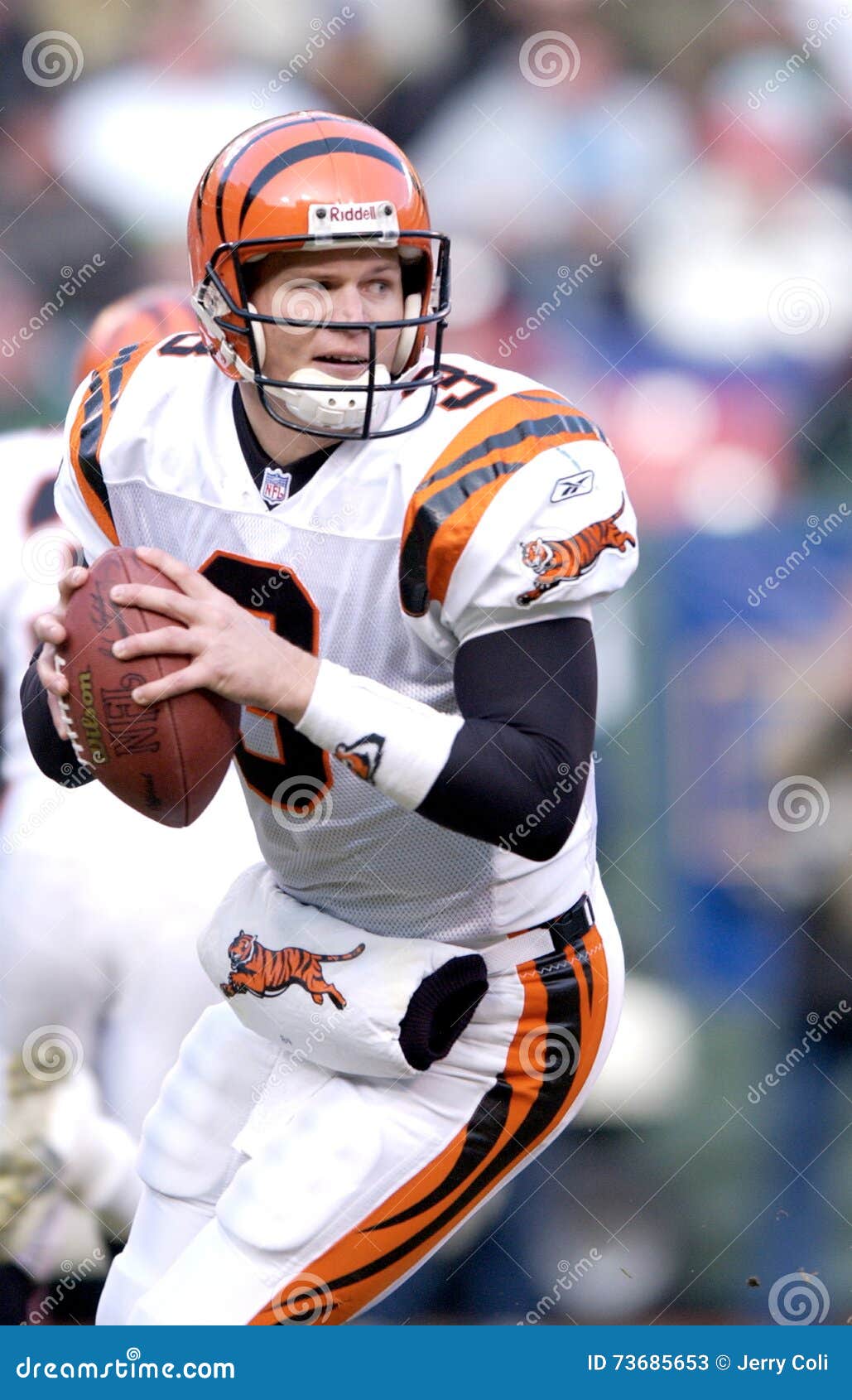 Jon Kitna editorial stock photo. Image of kitna, american - 73685653
