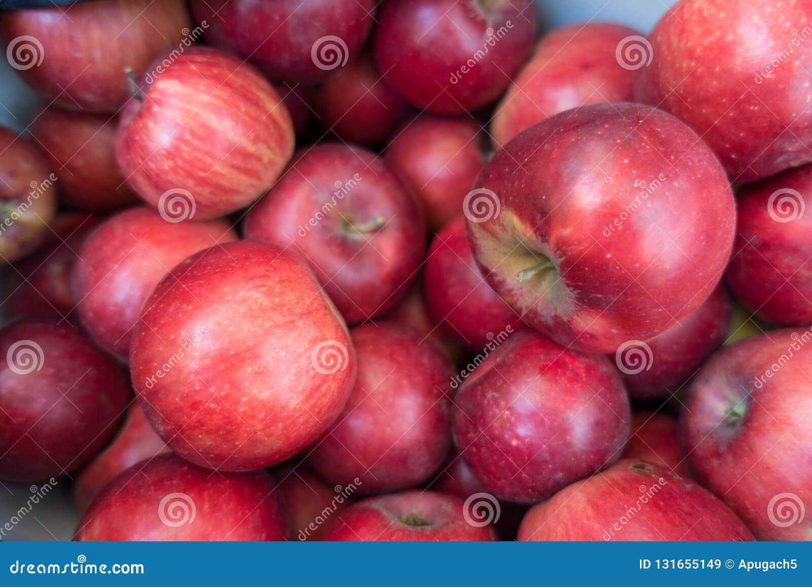 Jonathan Apples - Ripe, Red, Sweet, Medium-sized Stock Image - Image of ...