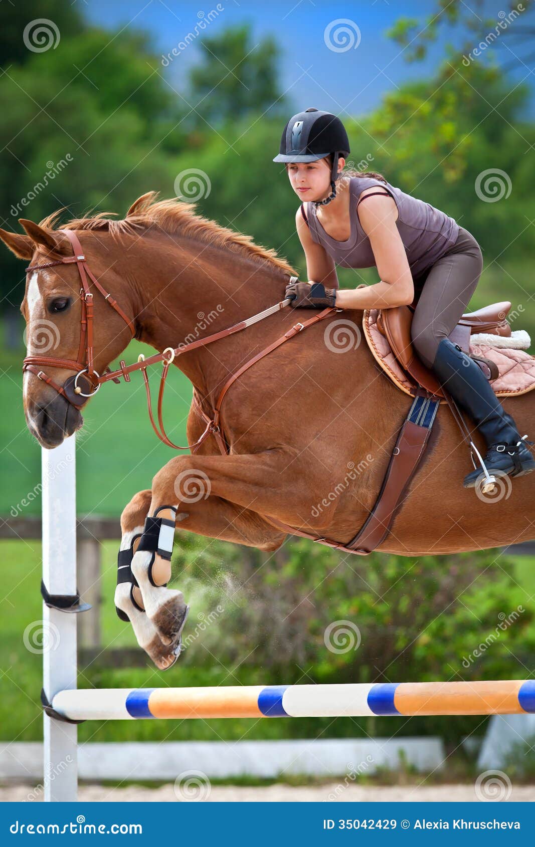 Jong Meisje Die Op Paard Springen Stock Afbeelding - Image of mensen ...