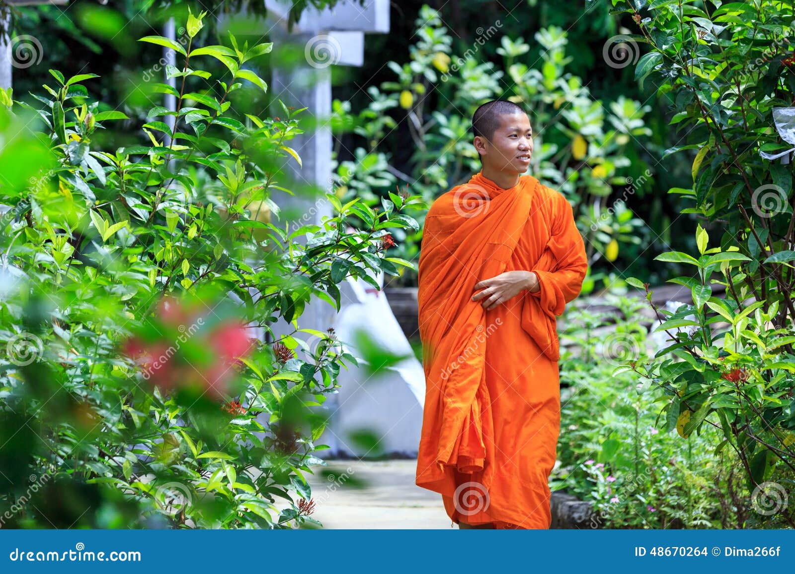 Jonge Boeddhistische Monnik Stock Foto - Image of thailand, portret ...