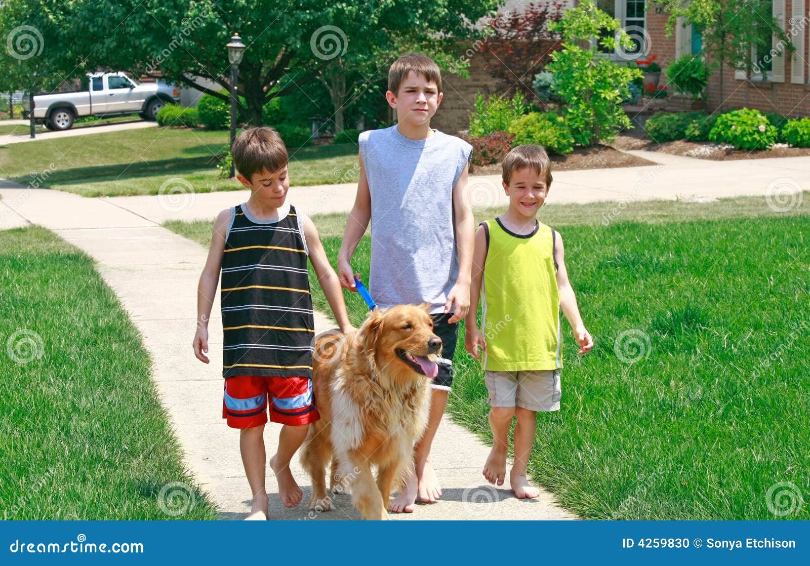 Jonge Geitjes Die De Hond Lopen Stock Foto - Image of dier, hond: 4259830