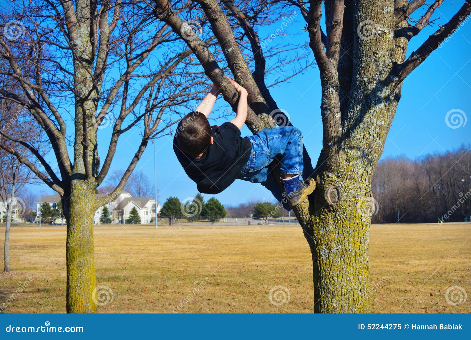 Jonge Jongen Die Boom Beklimt Stock Afbeelding - Image of ongeval, pret ...