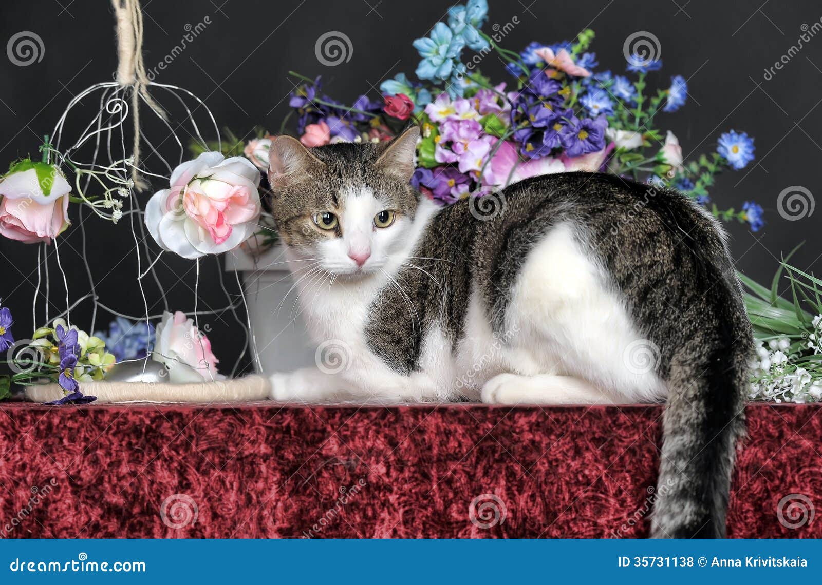 Jonge kat en bloemen stock foto. Image of snoezig, gebied - 35731138