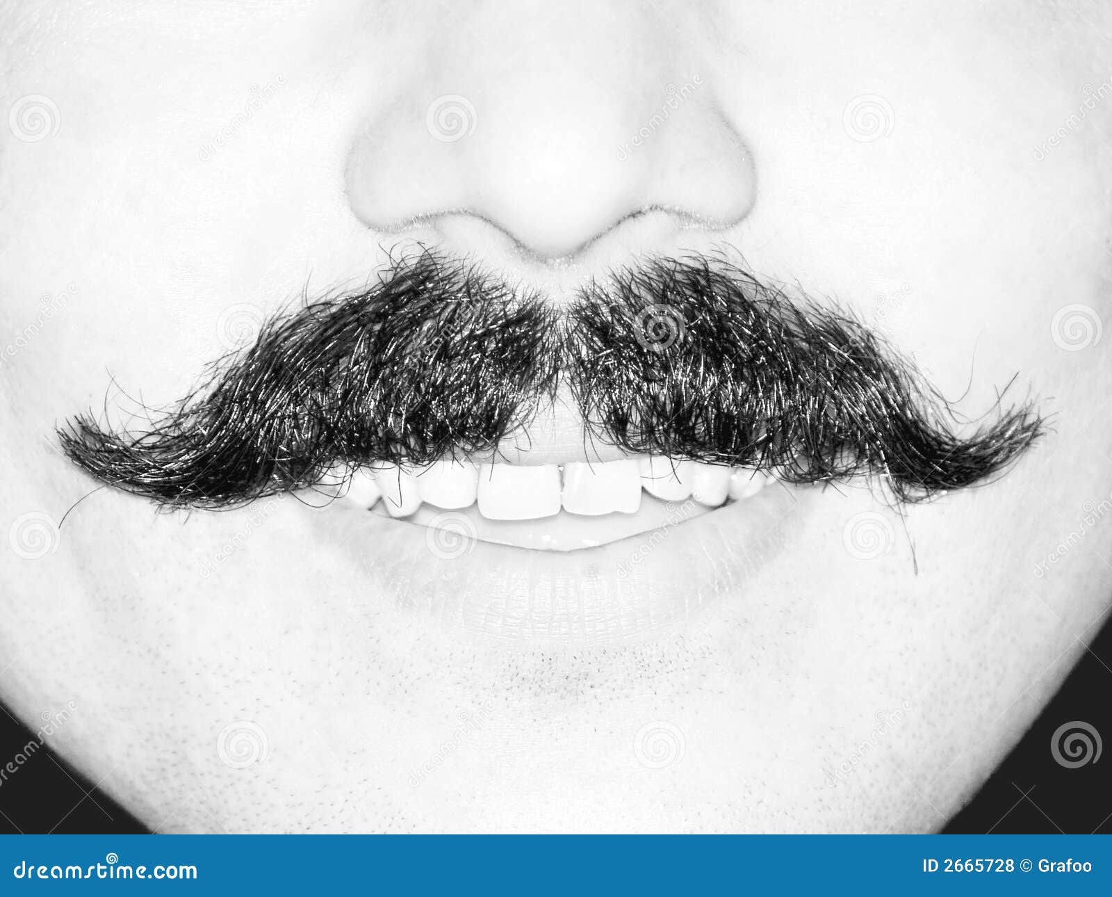 Jonge man snor stock foto. Image of gezichts, leuk, volwassen - 2665728