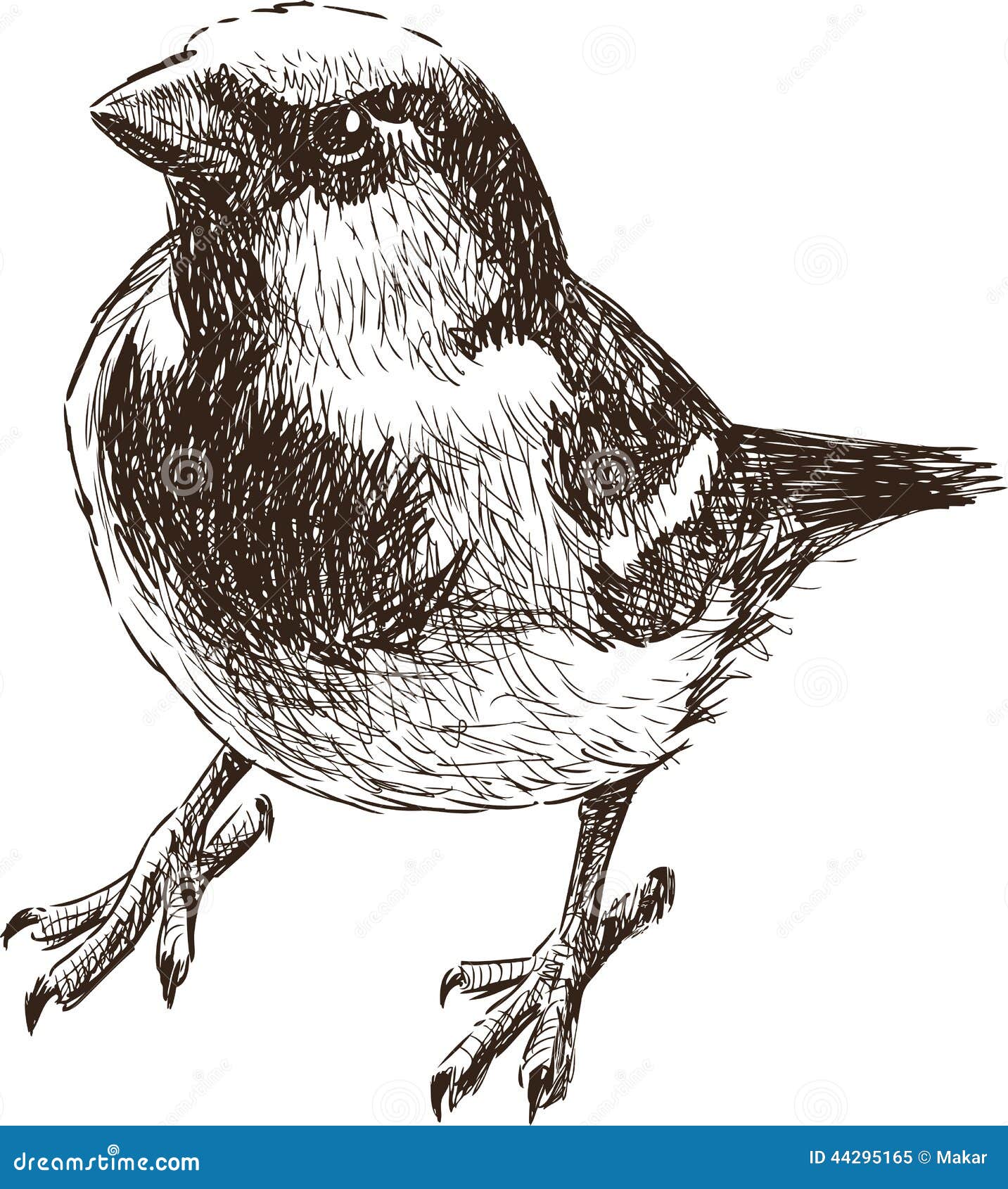 Jonge mus vector illustratie. Illustration of benen, realistisch - 44295165