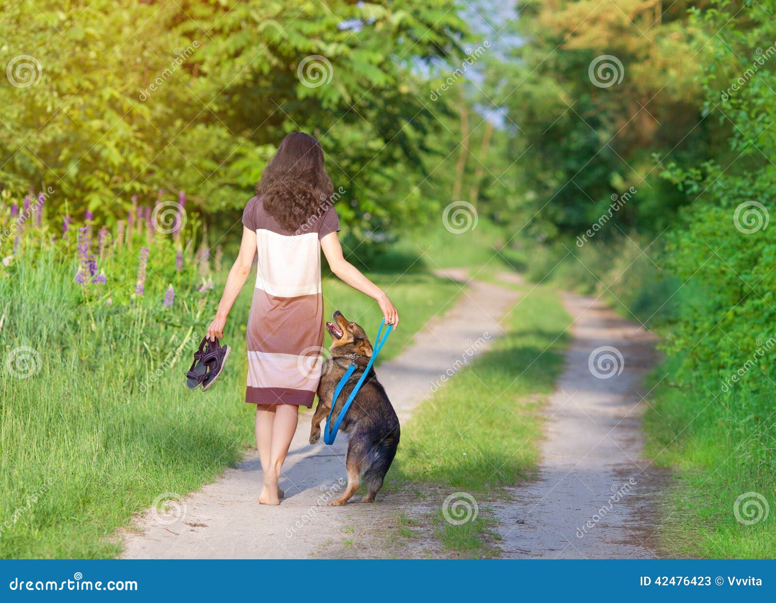 Jonge Vrouw Die Met Hond Lopen Stock Afbeelding - Image of overhemd ...