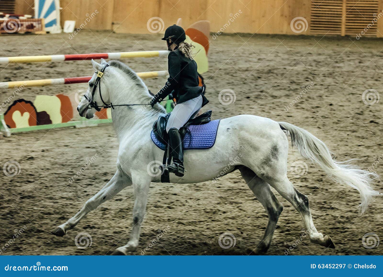 Jonge Vrouwelijke Ruiter Op Wit Paard Redactionele Fotografie - Image ...