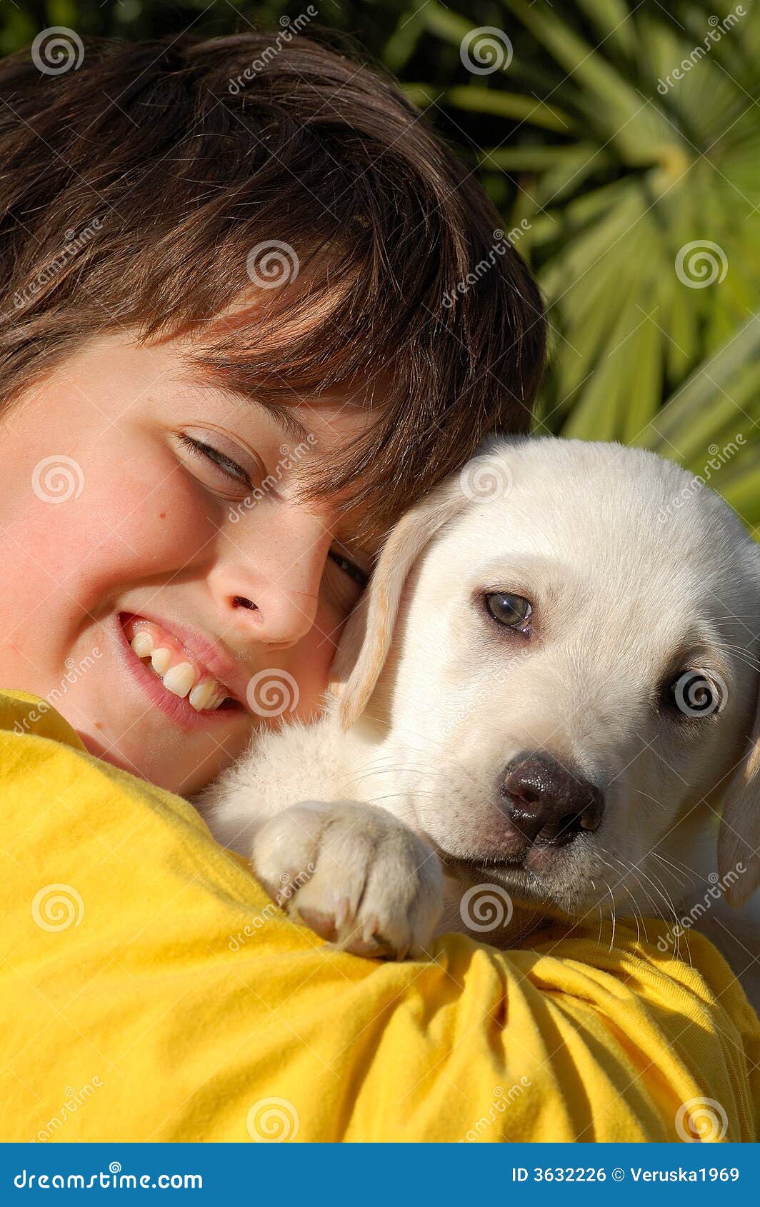 Jongen en hond stock foto. Image of geluk, vriendschap - 3632226