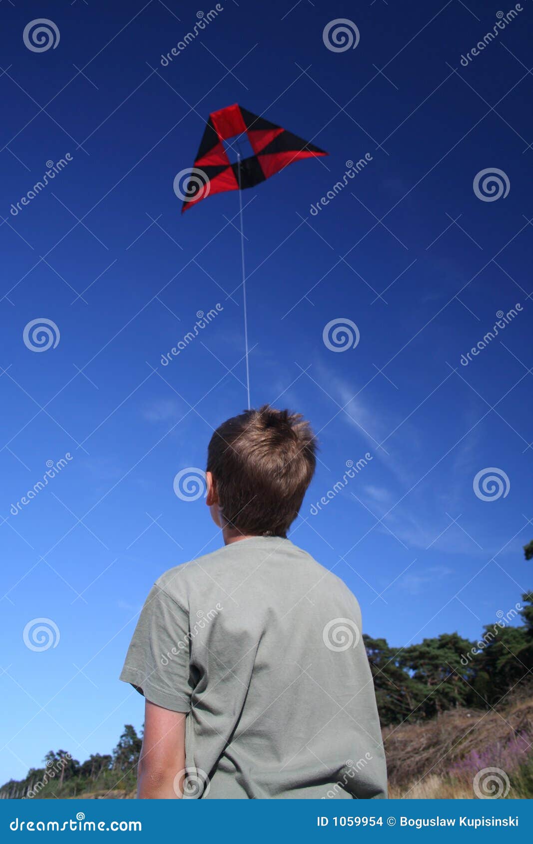Jongen met de vlieger stock foto. Image of lucht, vliegen - 1059954