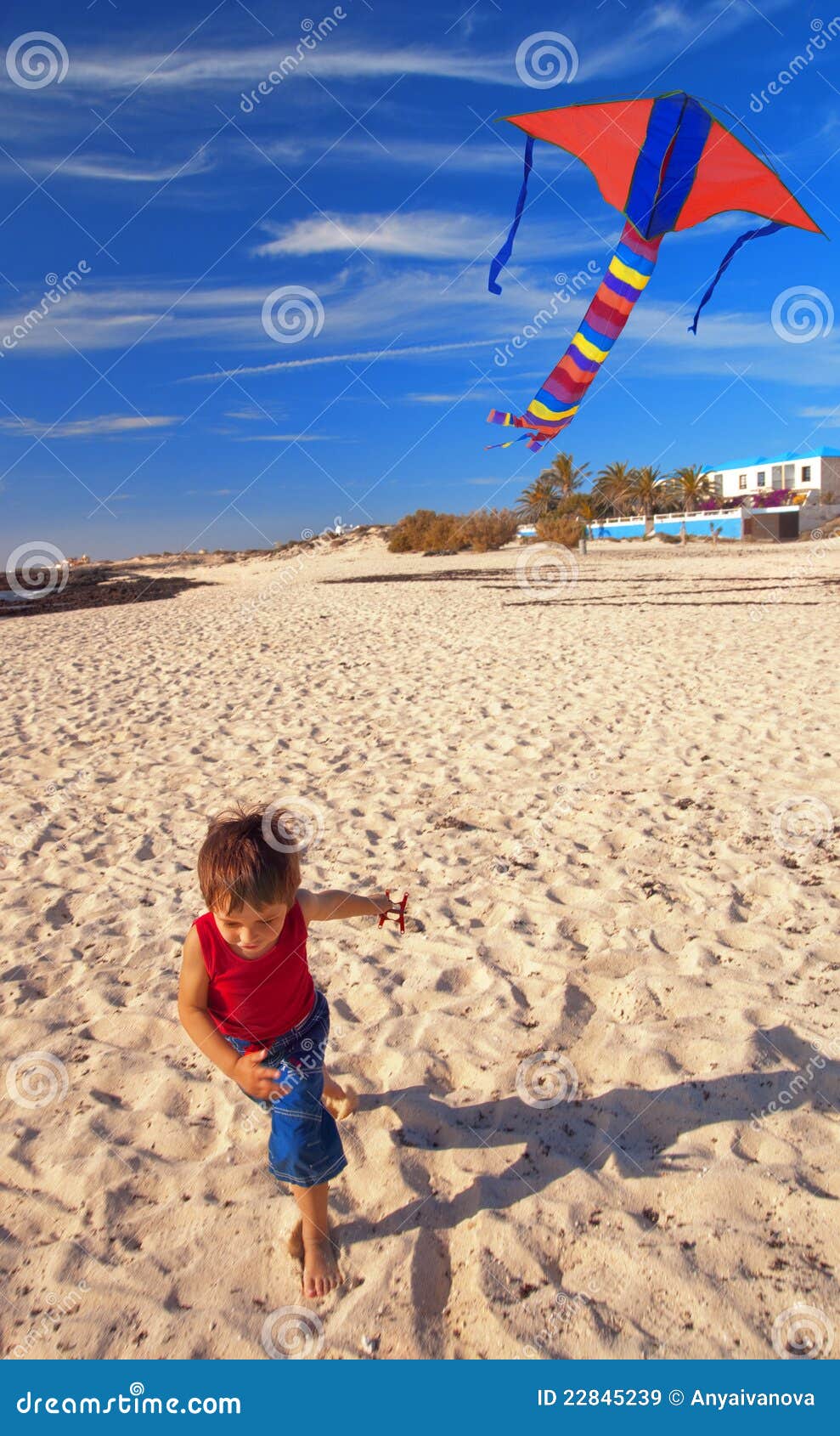 Jongen Op Een Strand Met Een Vlieger Stock Afbeelding - Image of ...