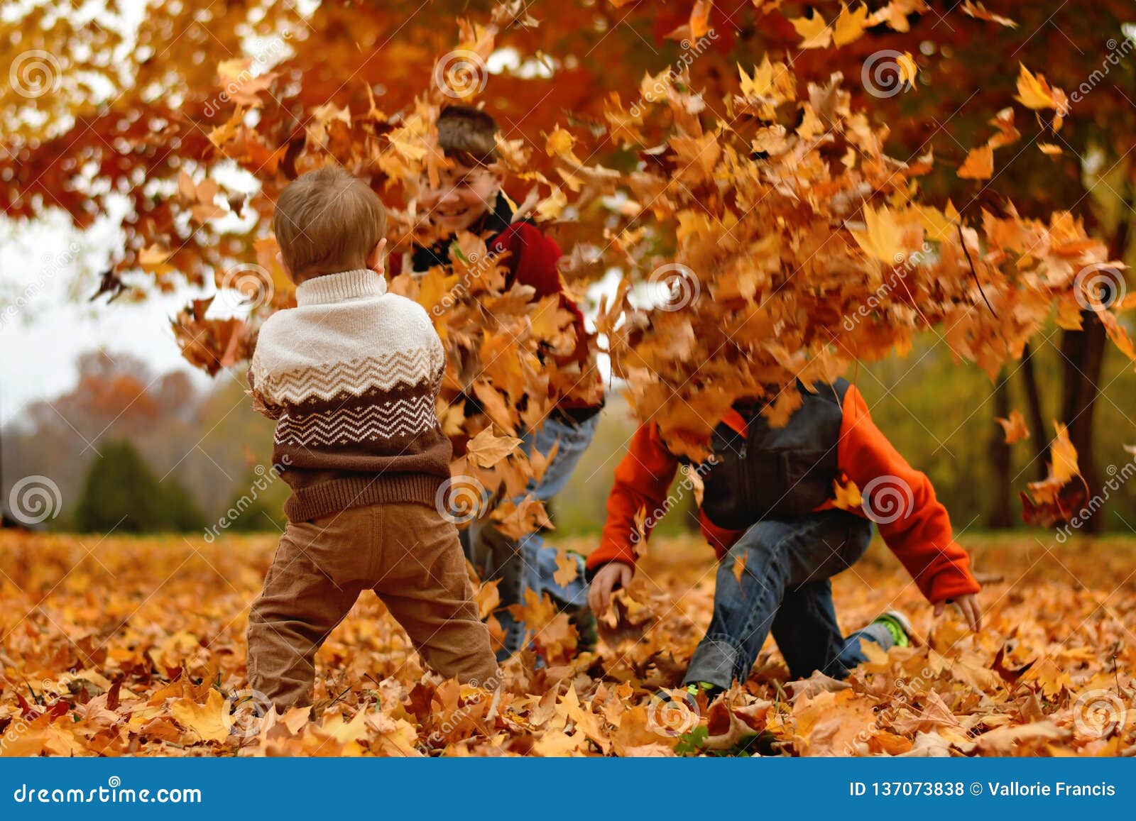Jongens Die in De Bladeren Van De Herfst Spelen Stock Foto - Image of ...