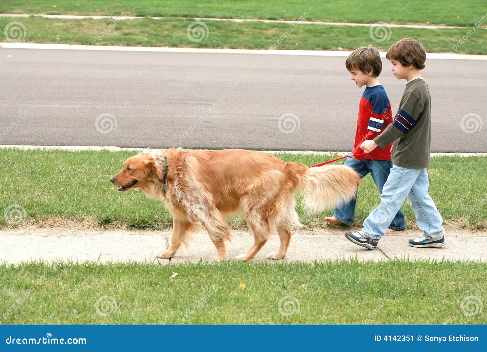 Jongens die de hond lopen stock afbeelding. Image of sluit - 4142351