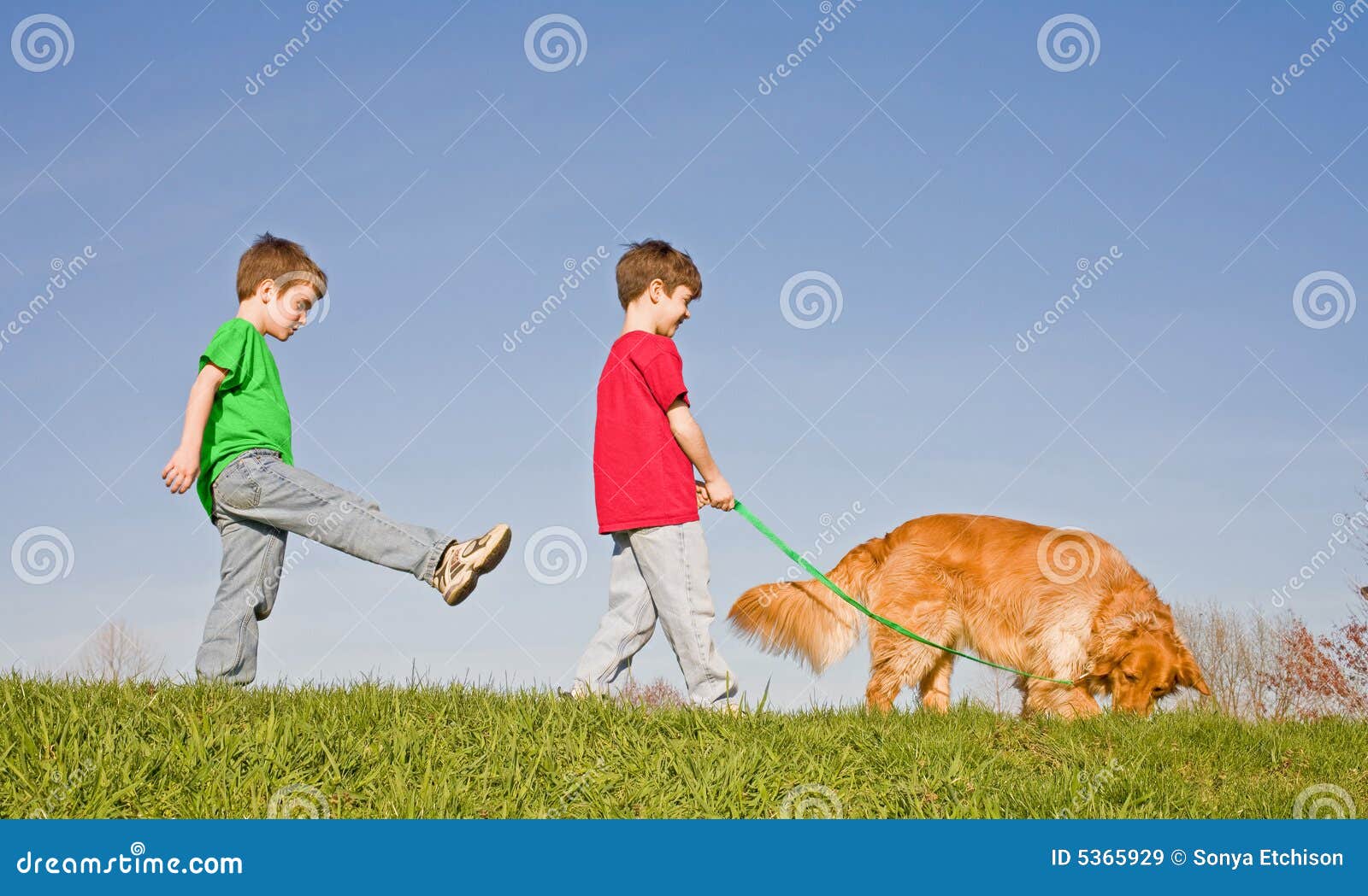 Jongens die de hond lopen stock afbeelding. Image of gelukkig - 5365929