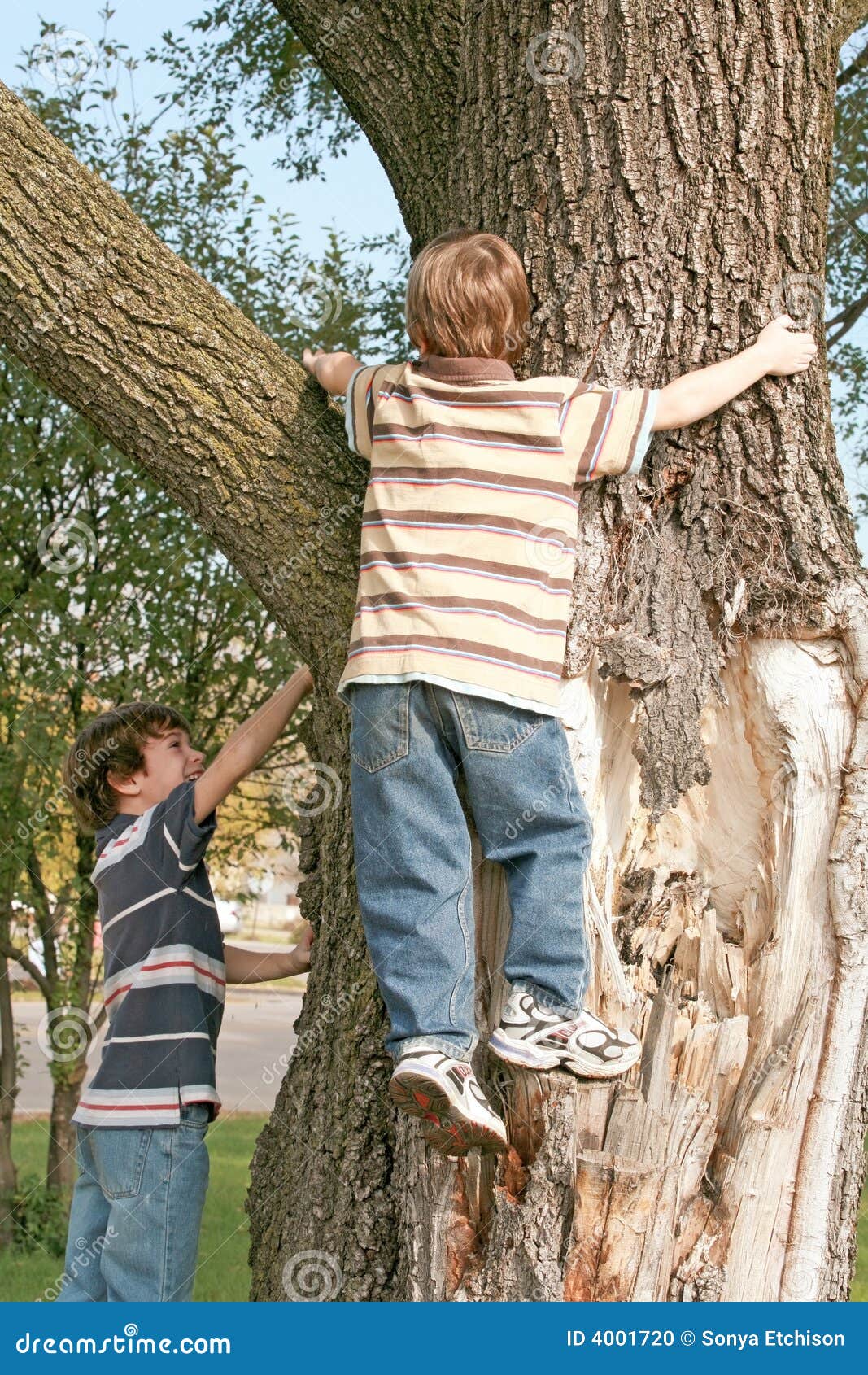 Jongens Die Een Grote Boom Beklimmen Stock Foto - Image of gezelschap ...