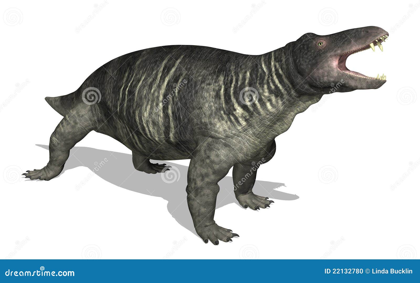 Jonkeria stock illustration. Illustration of dinocephalia - 22132780