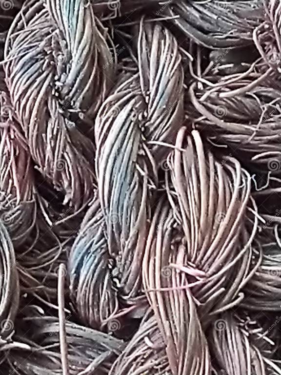 Joot stock image. Image of tree, joot, coconut, natural - 155828471