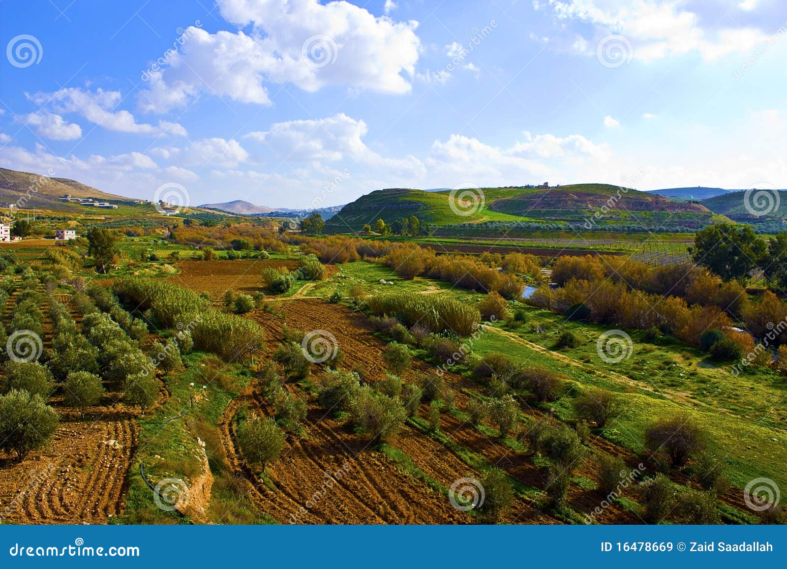 Jordan countryside stock image. Image of beautiful, sunlight - 16478669