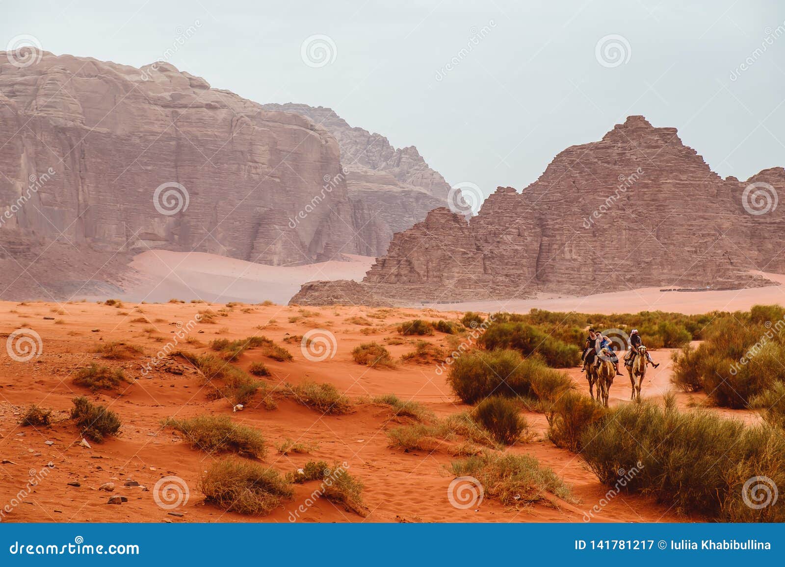 Jordan. May 2018. Red Mountains of the Canyon of Wadi Rum Desert in ...