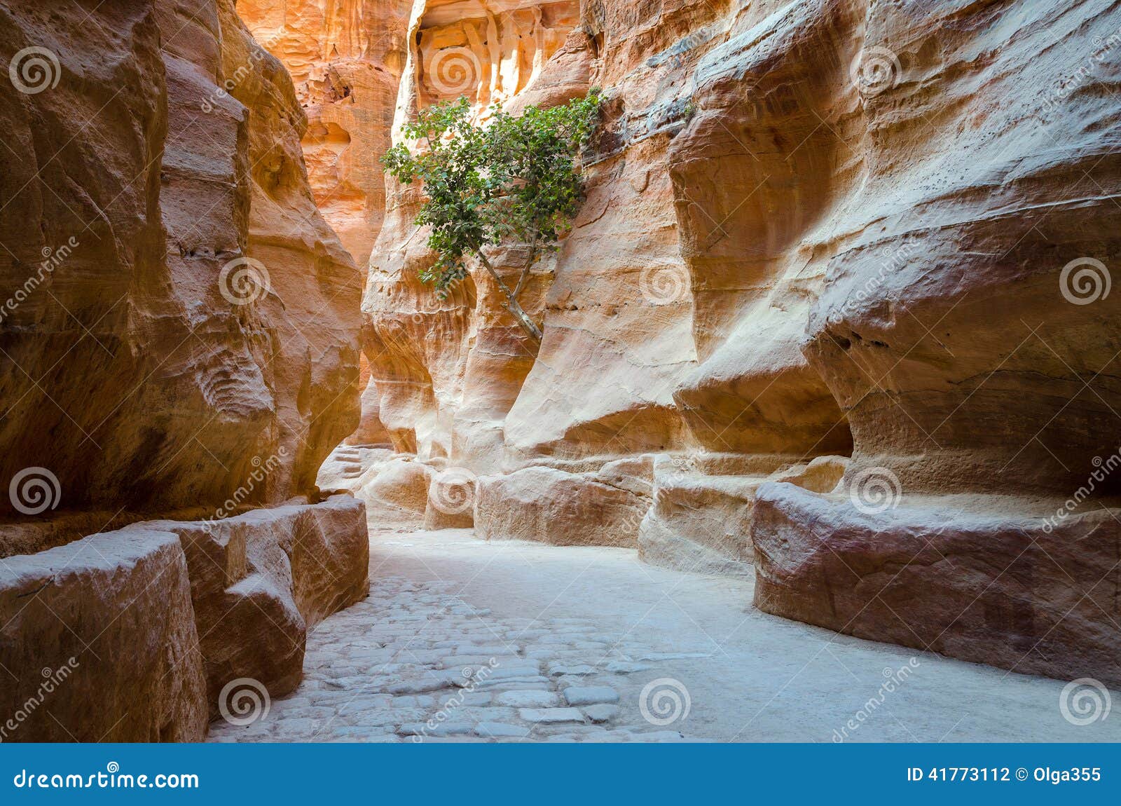 Jordan, Petra, gorge stock photo. Image of landmark, petra - 41773112