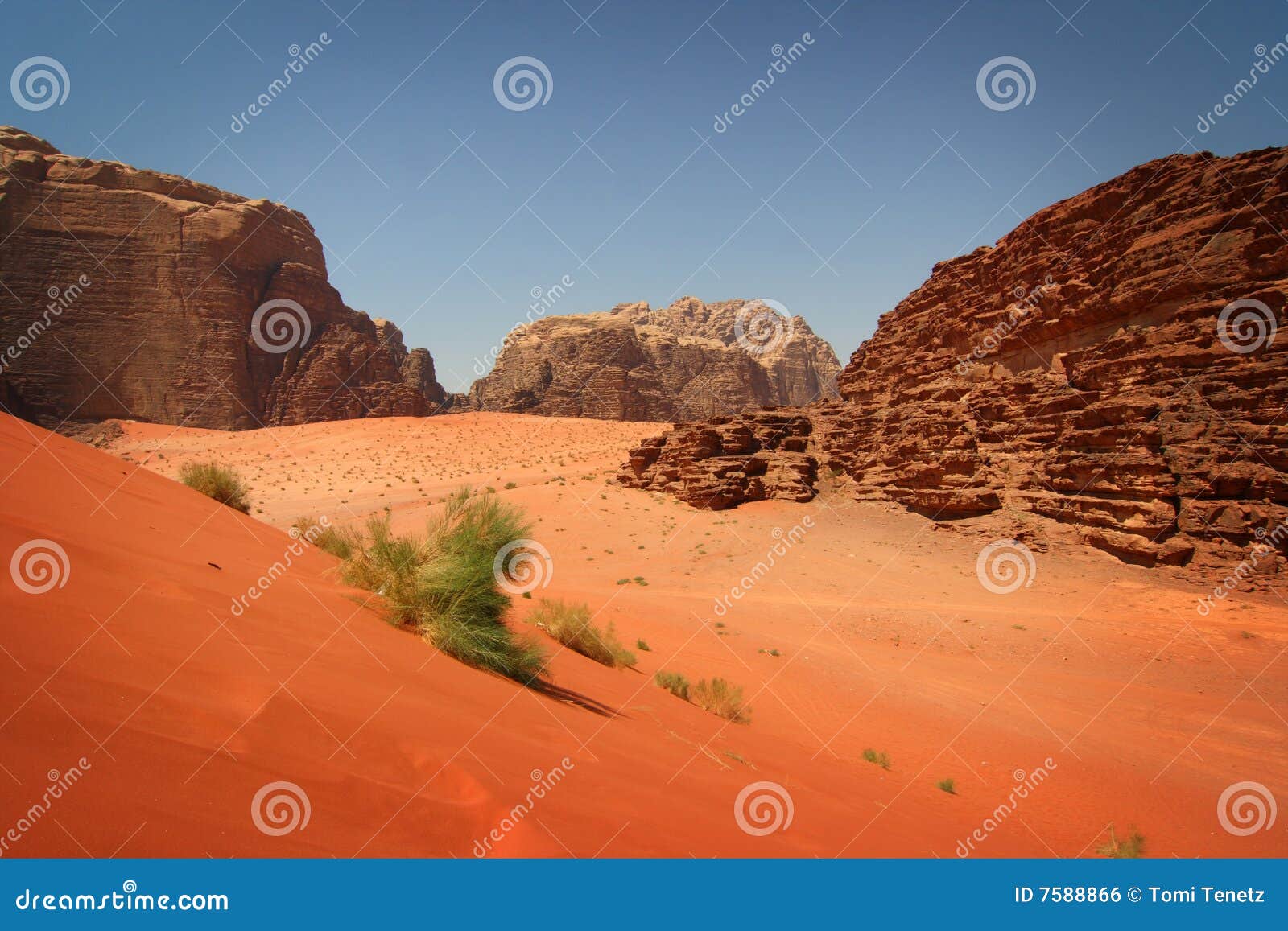 Jordan: Red Dunes stock photo. Image of middle, bush, jordan - 7588866