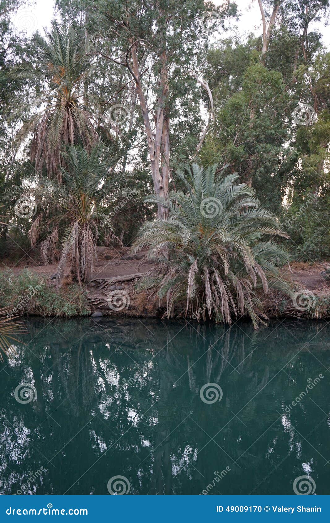 Jordan river stock photo. Image of palm, reflection, jordan - 49009170