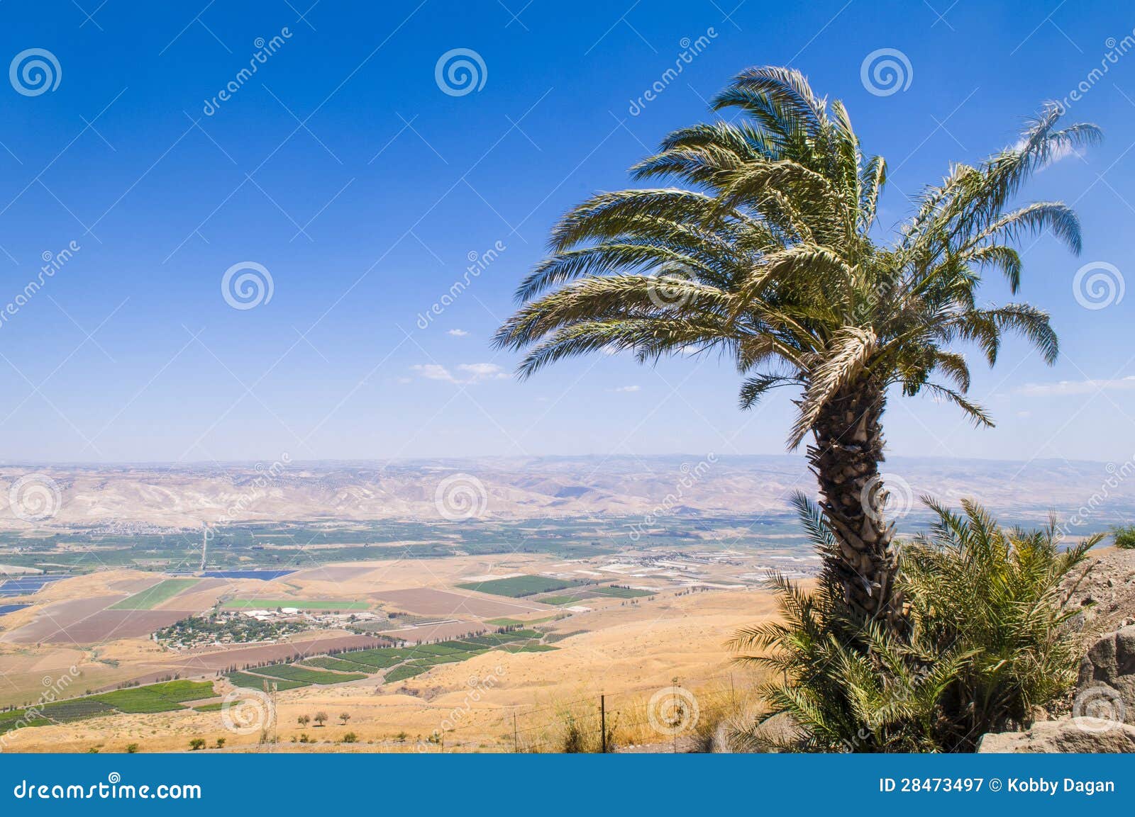 Jordan valley stock image. Image of jordan, summer, galilee - 28473497