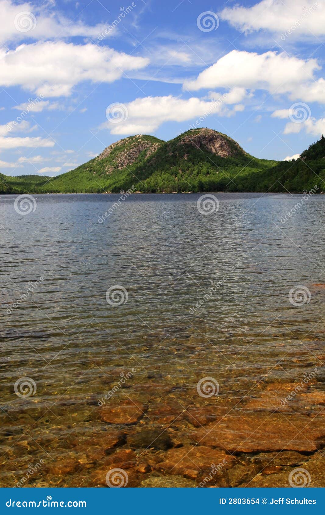 Jordaniens Teich Und Die Luftblasen Stockfoto - Bild von teich ...