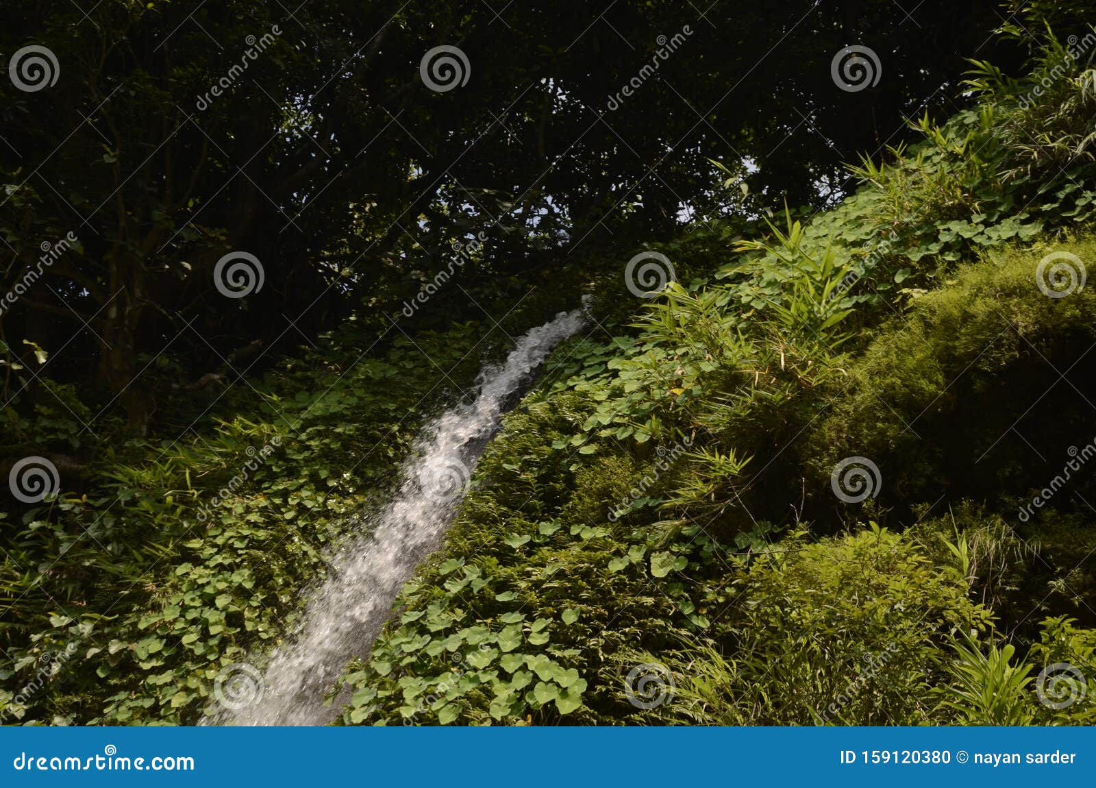 Jorna stock photo. Image of jorna, beautiful, natural - 159120380