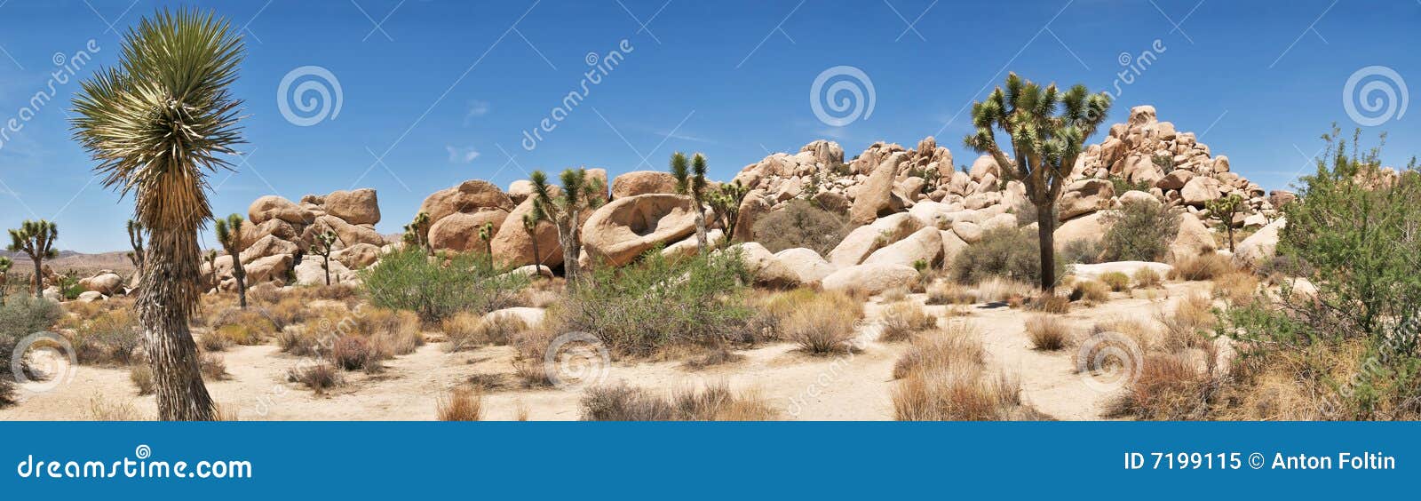 Joshua Tree National Park. Keys View. San Andreas Fault. Royalty-Free ...