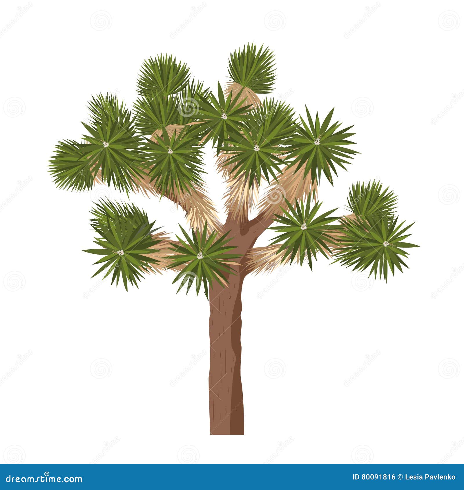 Yucca Cartoons, Illustrations & Vector Stock Images - 4416 Pictures to ...