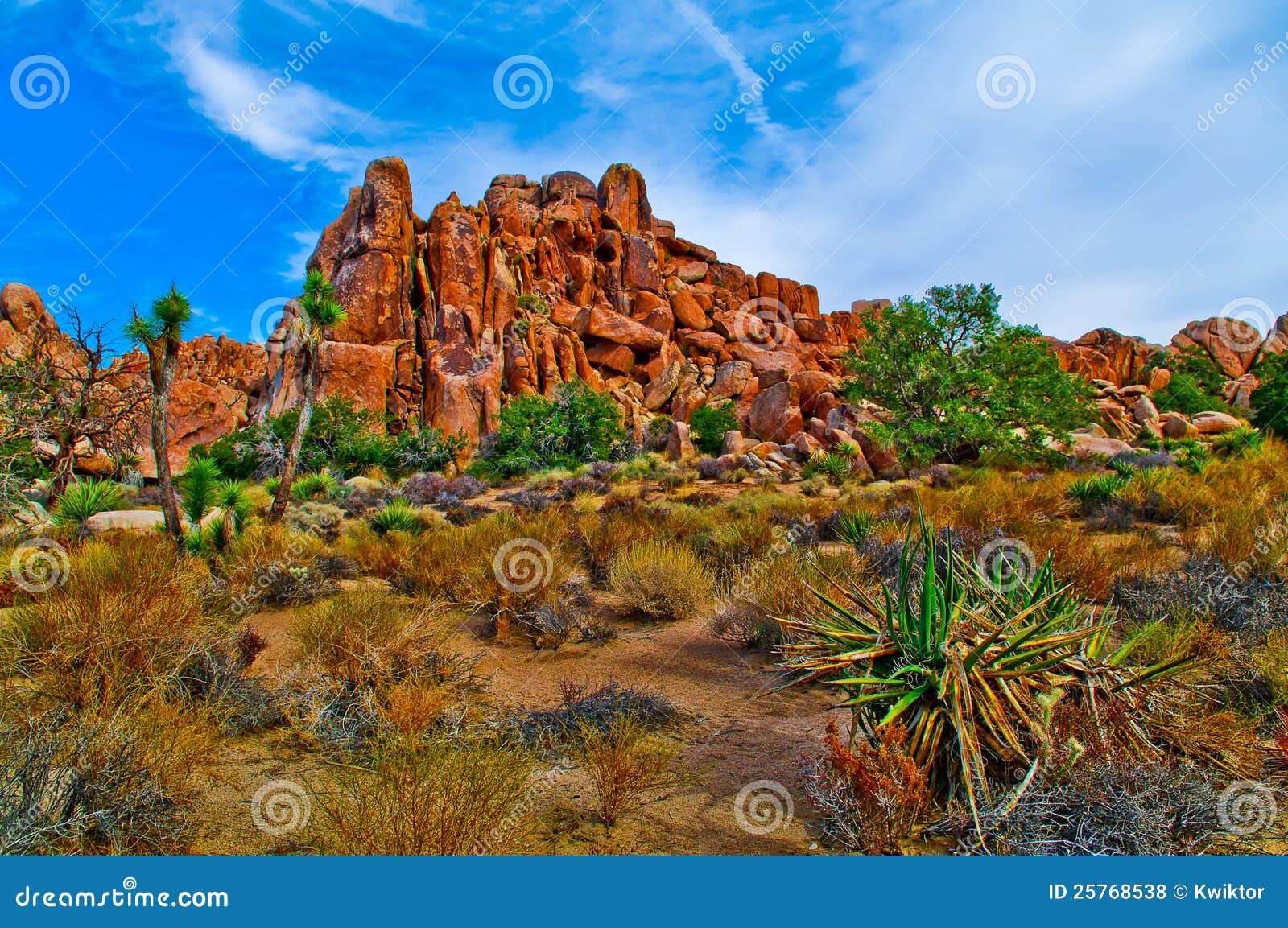 Joshua Tree Landscape stock photo. Image of tree, america - 25768538