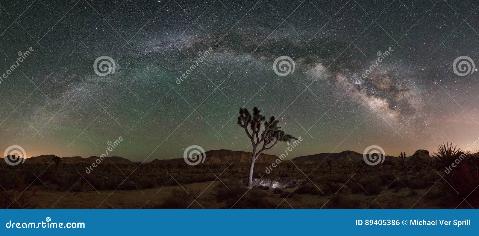 Joshua Tree Milky Way Panorama Stock Photo - Image of star ...