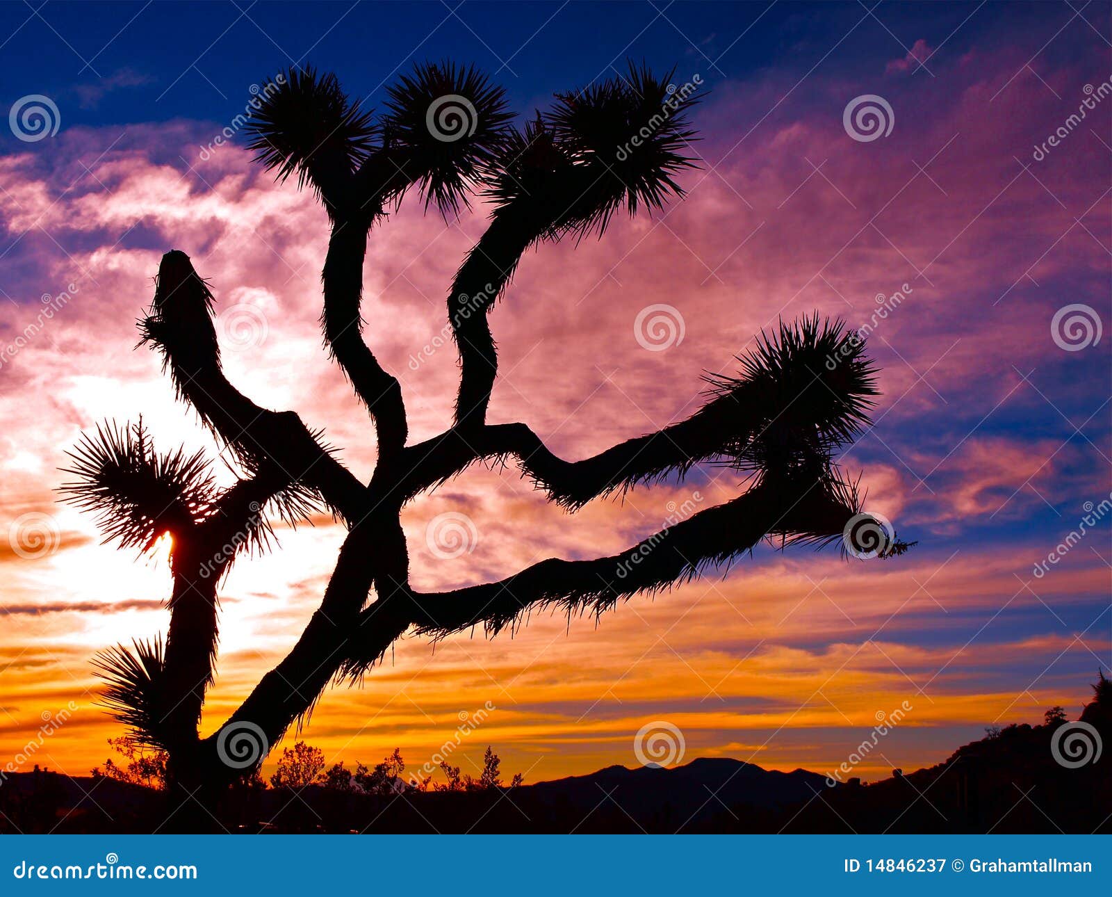 Joshua Tree National Park. Keys View. San Andreas Fault. Royalty-Free ...