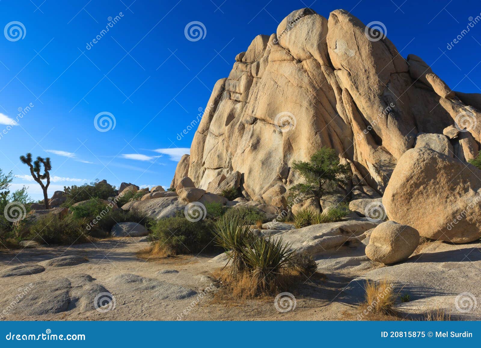 Joshua Tree National Park. Keys View. San Andreas Fault. Royalty-Free ...