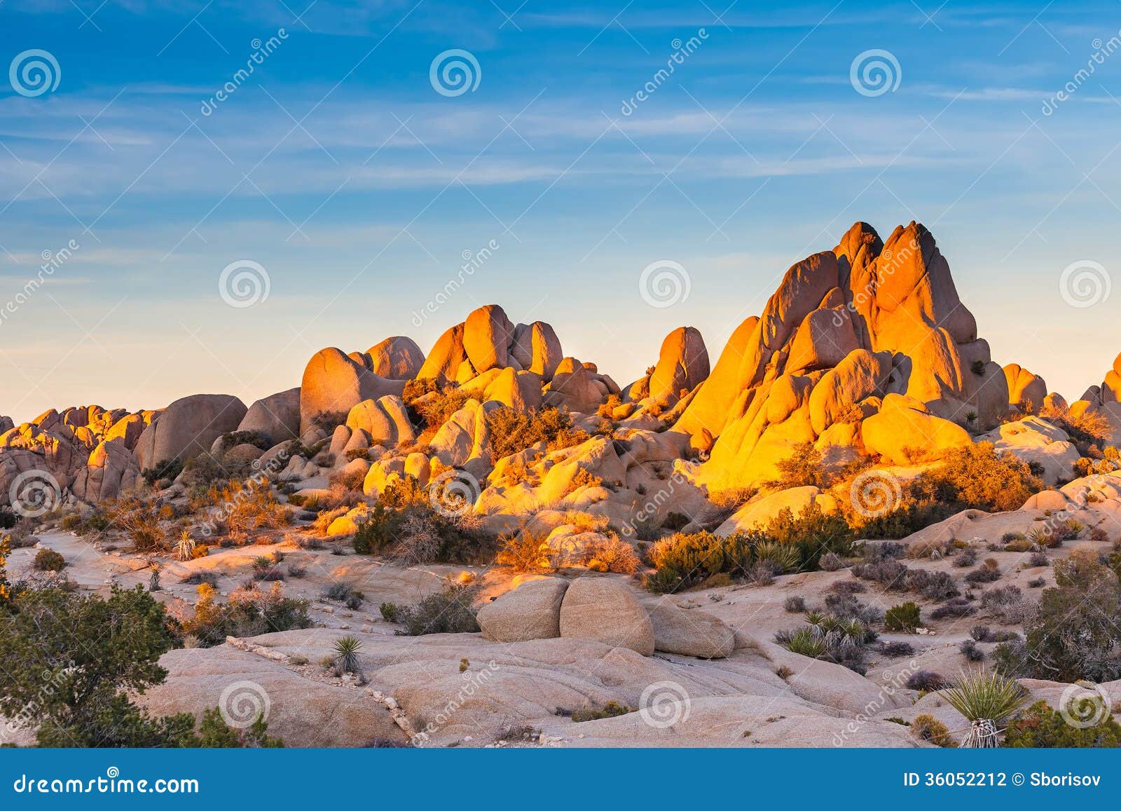 Joshua Tree National Park foto de stock. Imagem de parque - 36052212