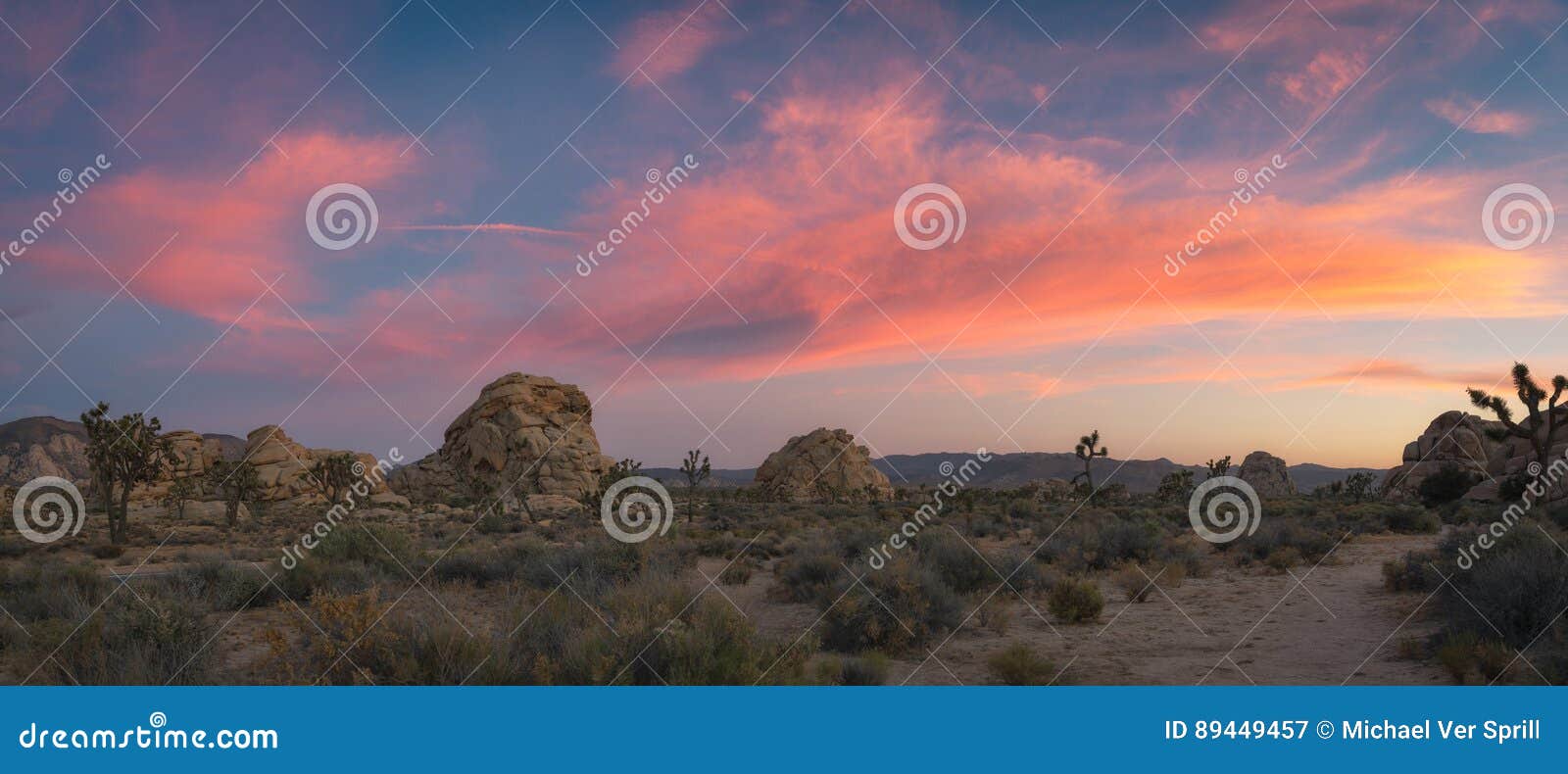 Joshua Tree National Park Panorama at Sunset Stock Image - Image of ...