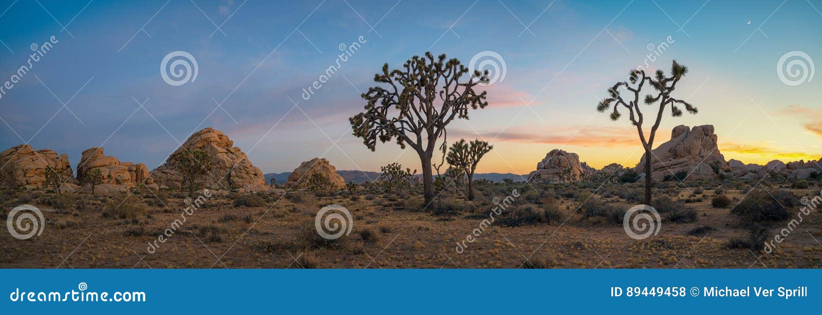Joshua Tree National Park Panorama at Sunset Stock Photo - Image of ...