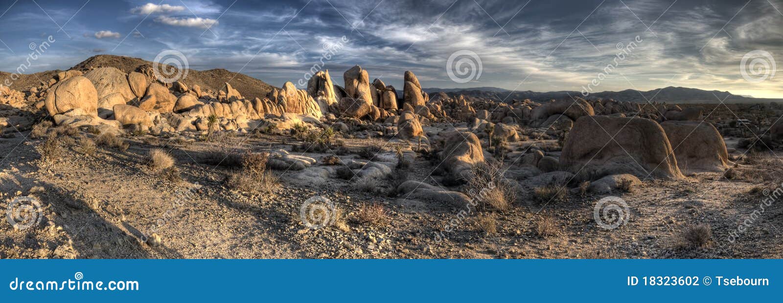 Joshua Tree National Park Rock Formation Panoramic Stock Photo - Image ...