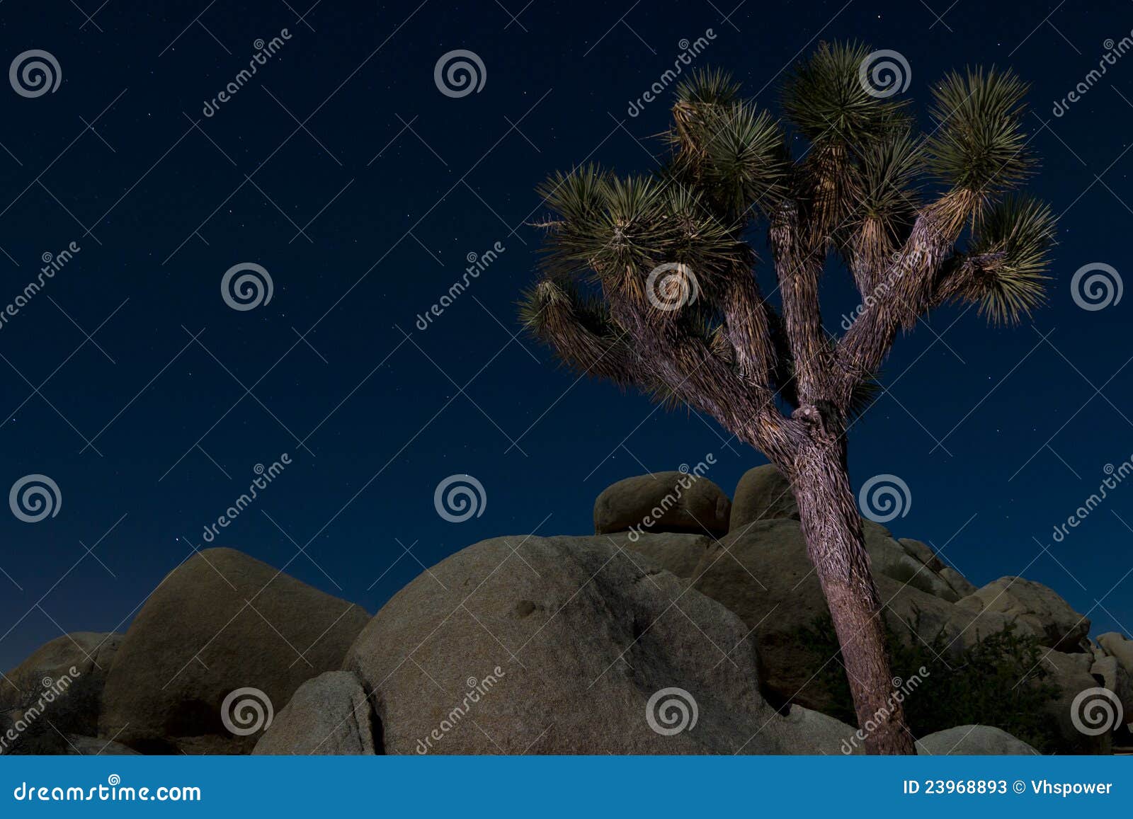 Joshua Tree night stock image. Image of park, campground - 23968893