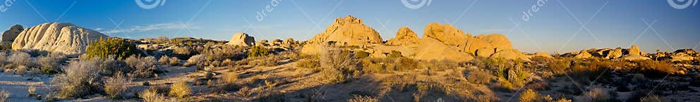 Joshua Tree Panorama stock photo. Image of america, rocky - 4599962