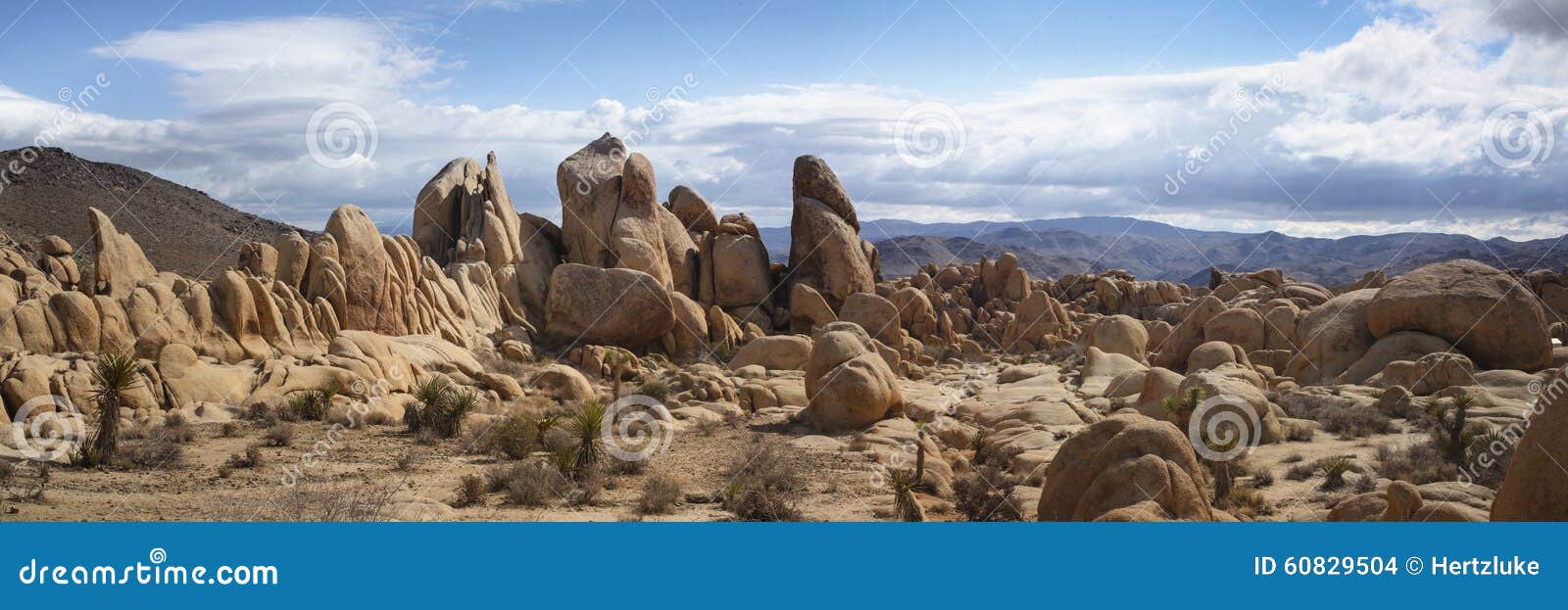 Joshua Tree Panorama stock photo. Image of summer, bouldering - 60829504