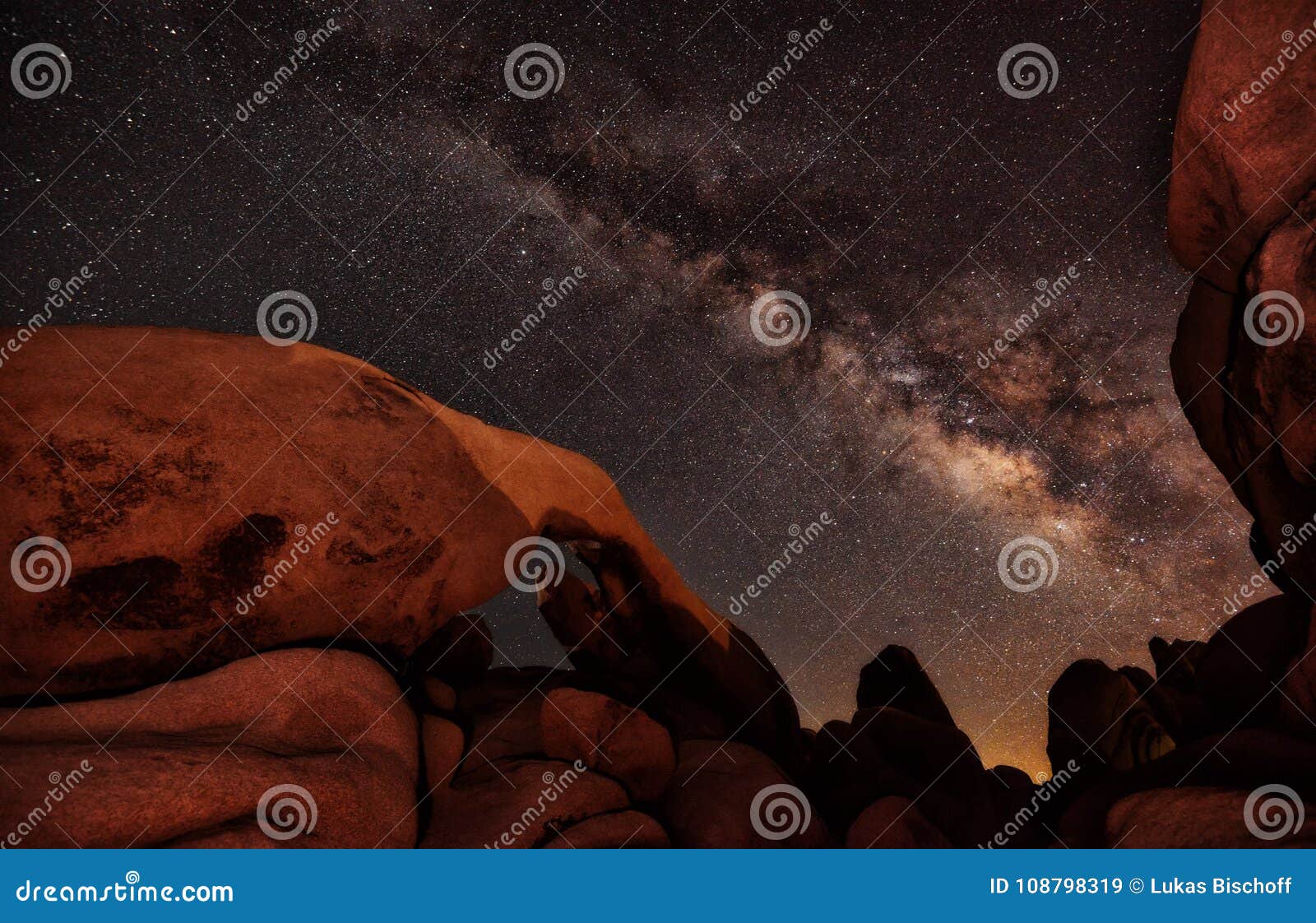 Joshua Tree Starry Night imagem de stock. Imagem de estrelado - 108798319