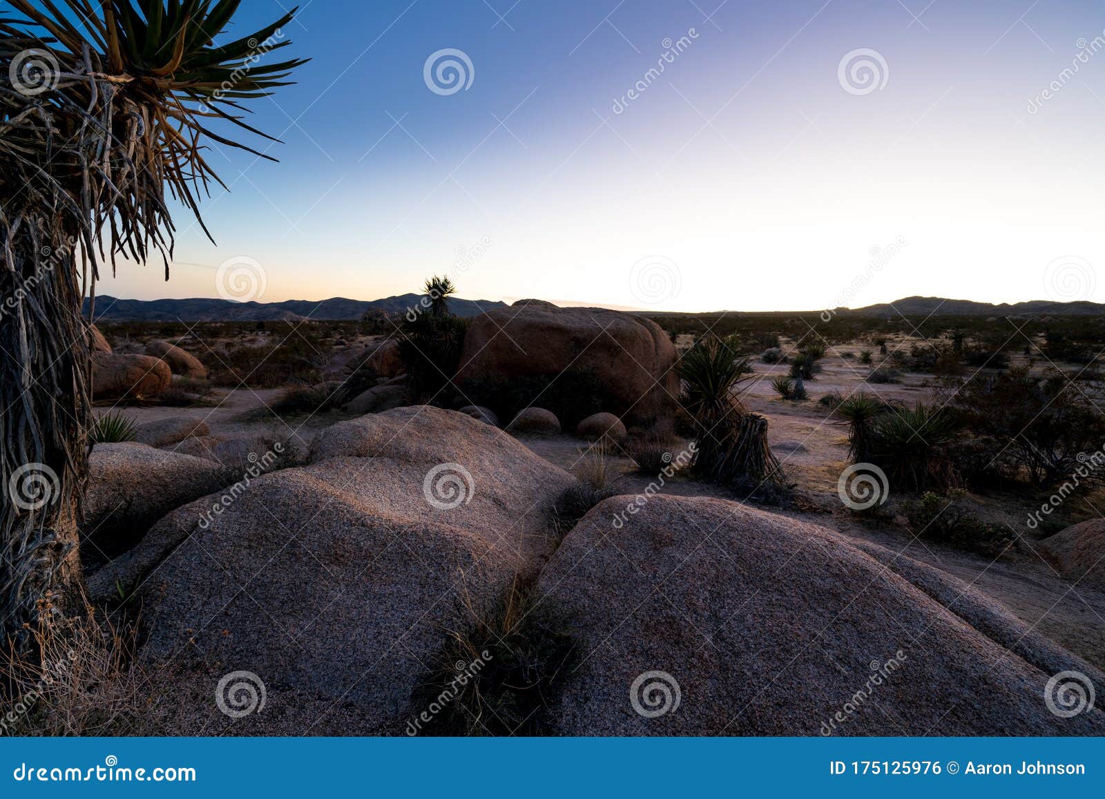 Joshua Tree Sunset in Winter Stock Photo - Image of clouds, mounains ...